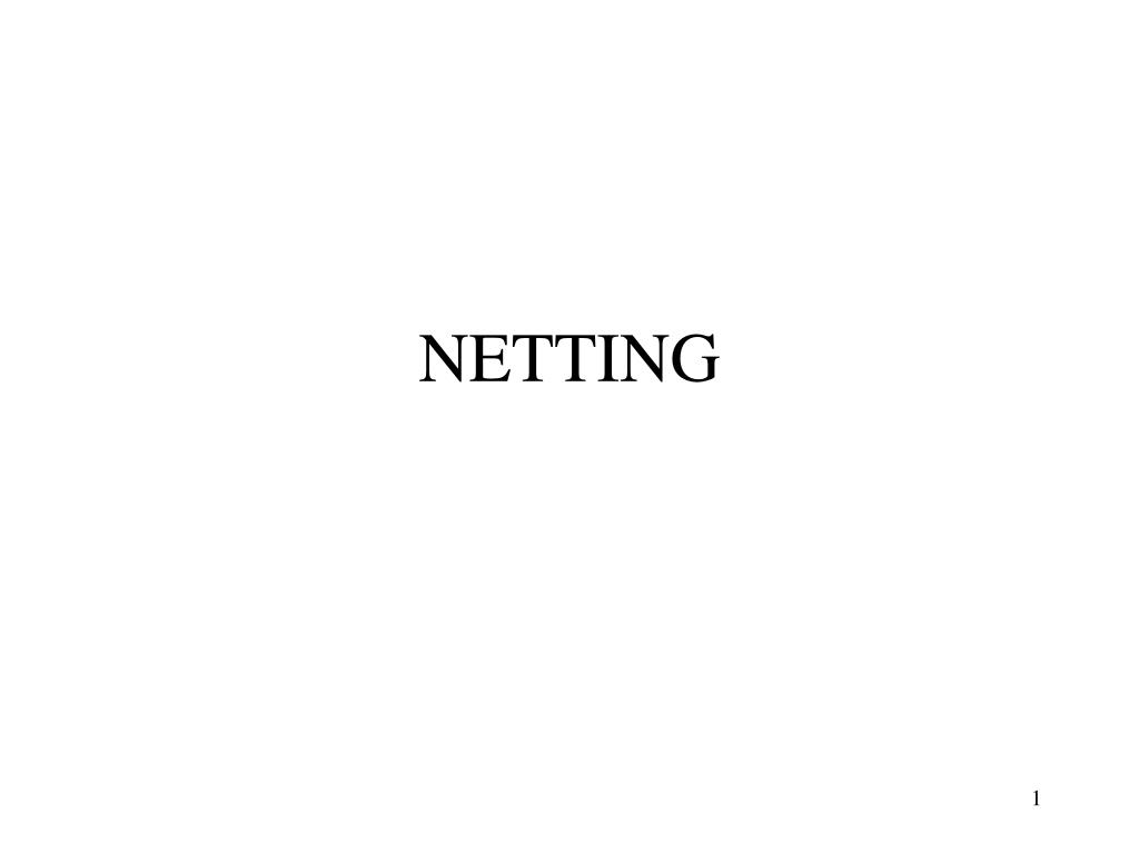 PPT - NETTING PowerPoint Presentation, free download - ID:3607571