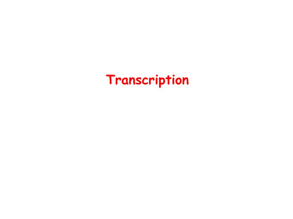 PPT - Transcription PowerPoint Presentation, free download - ID:3612986