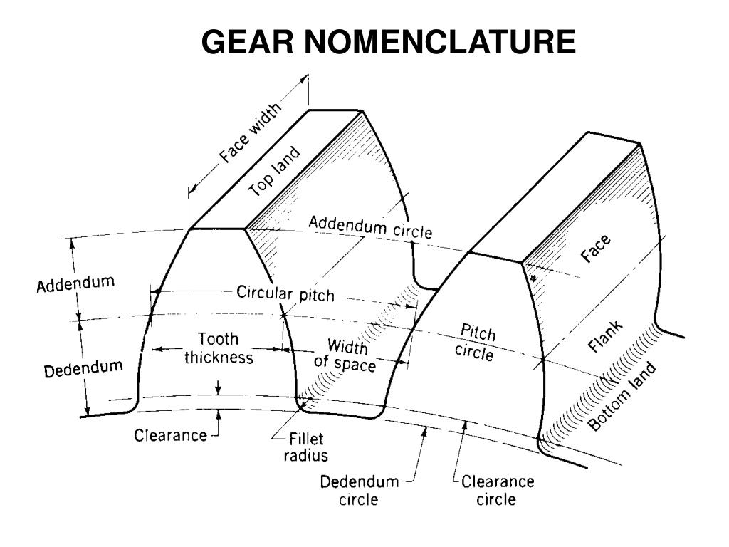 PPT - GEAR NOMENCLATURE PowerPoint Presentation, free download - ID:3614671