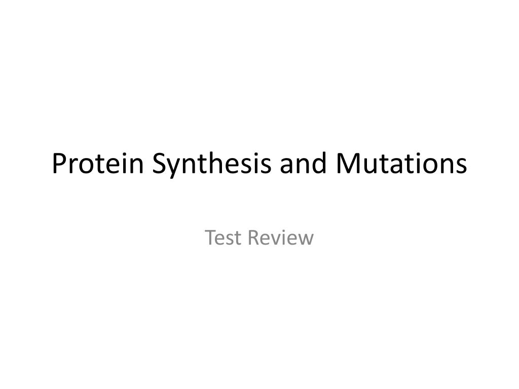 PPT - Protein Synthesis and Mutations PowerPoint Presentation, free ...