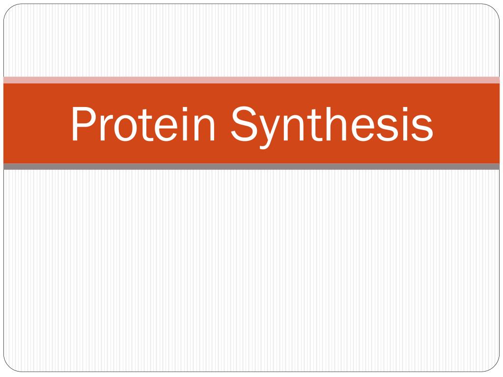 PPT - Protein Synthesis PowerPoint Presentation, free download - ID:3618088