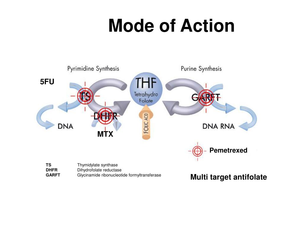 PPT - Mode of Action PowerPoint Presentation, free download - ID:3629643
