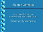 PPT - Human Genetics PowerPoint Presentation, free download - ID:6322759