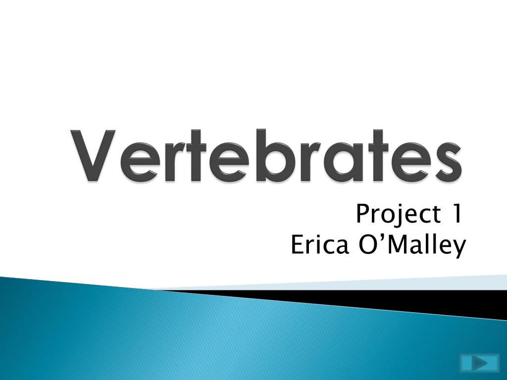 PPT - Vertebrates PowerPoint Presentation, free download - ID:3631226