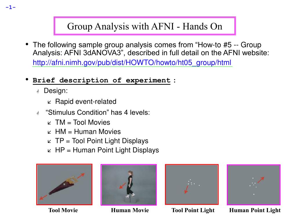 PPT - Group Analysis with AFNI - Hands On PowerPoint Presentation, free ...