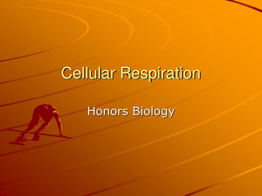 PPT - Cellular Respiration PowerPoint Presentation, free download - ID ...