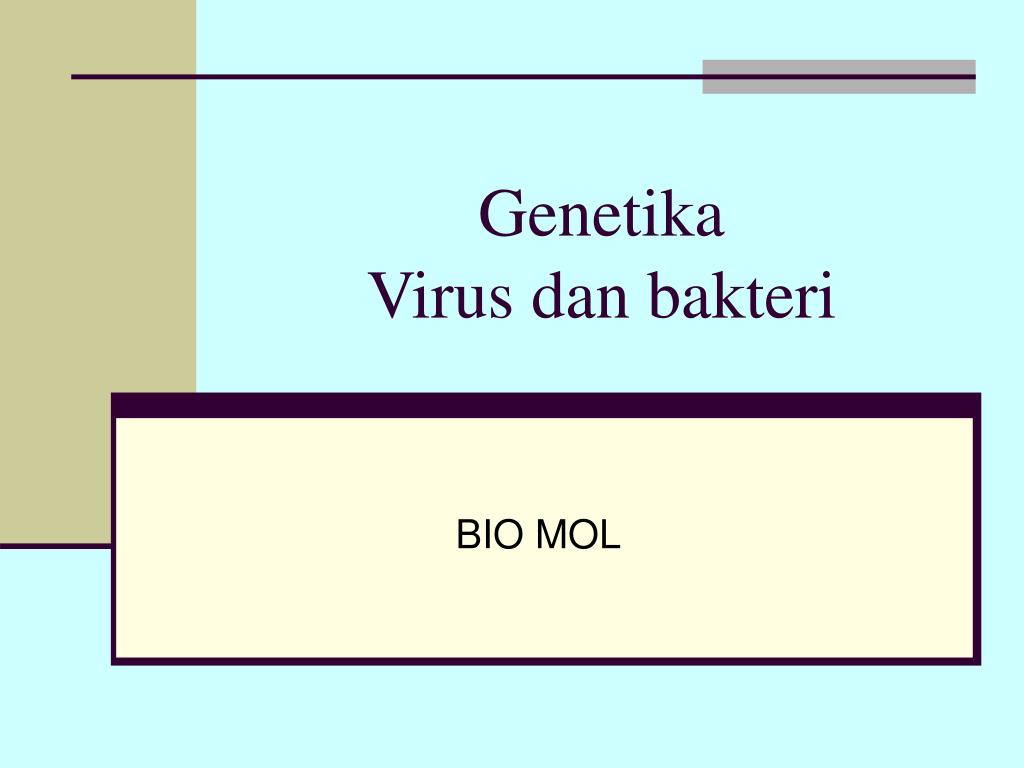PPT - Genetika Virus dan bakteri PowerPoint Presentation, free download ...