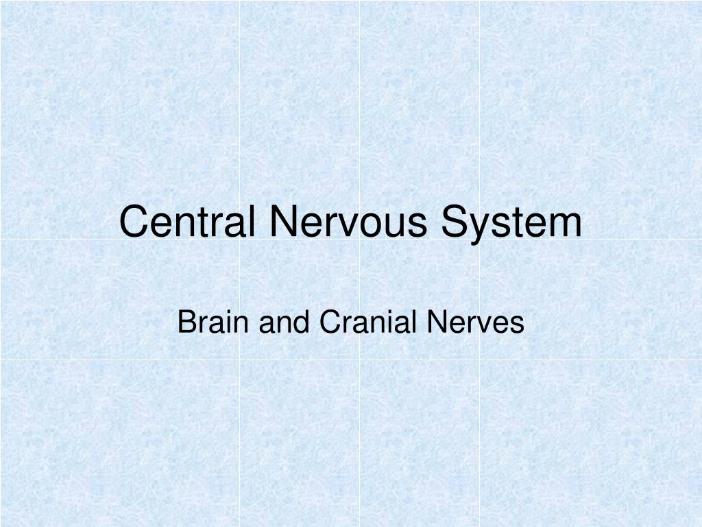 PPT - Central Nervous System PowerPoint Presentation, free download ...