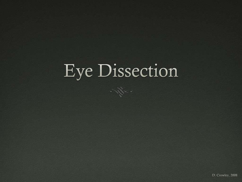 PPT - Eye Dissection PowerPoint Presentation, free download - ID:3643393