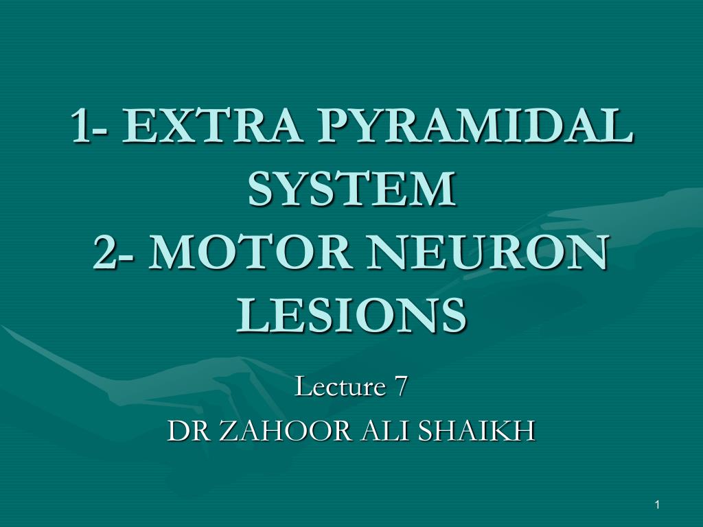PPT - 1- EXTRA PYRAMIDAL SYSTEM 2- MOTOR NEURON LESIONS PowerPoint ...