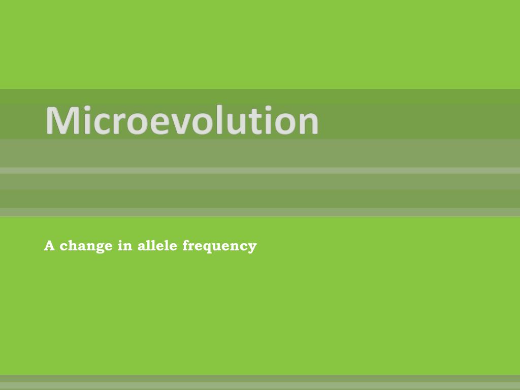 PPT - Microevolution PowerPoint Presentation, free download - ID:3645576