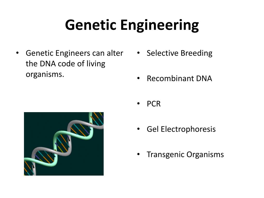 PPT - Genetic Engineering PowerPoint Presentation, free download - ID ...