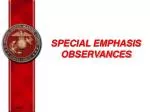 PPT - Special Emphasis Programs and Managers A road to the future ...