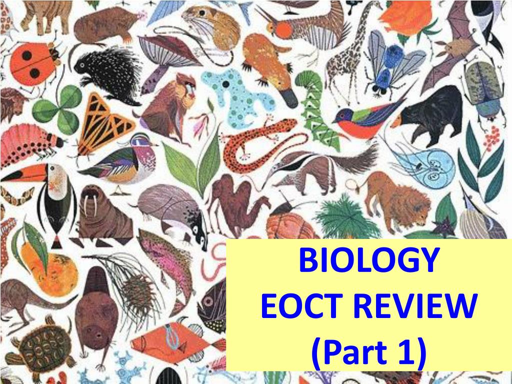 PPT - BIOLOGY EOCT REVIEW (Part 1) PowerPoint Presentation, free ...