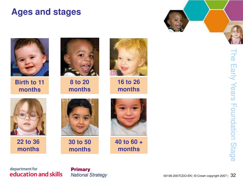 PPT - Ages and stages PowerPoint Presentation, free download - ID:3670026