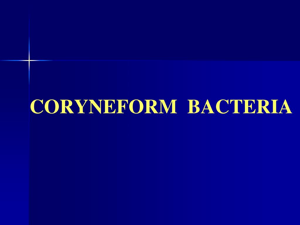 PPT - CORYNEFORM BACTERIA PowerPoint Presentation, free download - ID ...