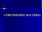 PPT - Coryneform bacteria, listeria and erysipelothrix PowerPoint ...