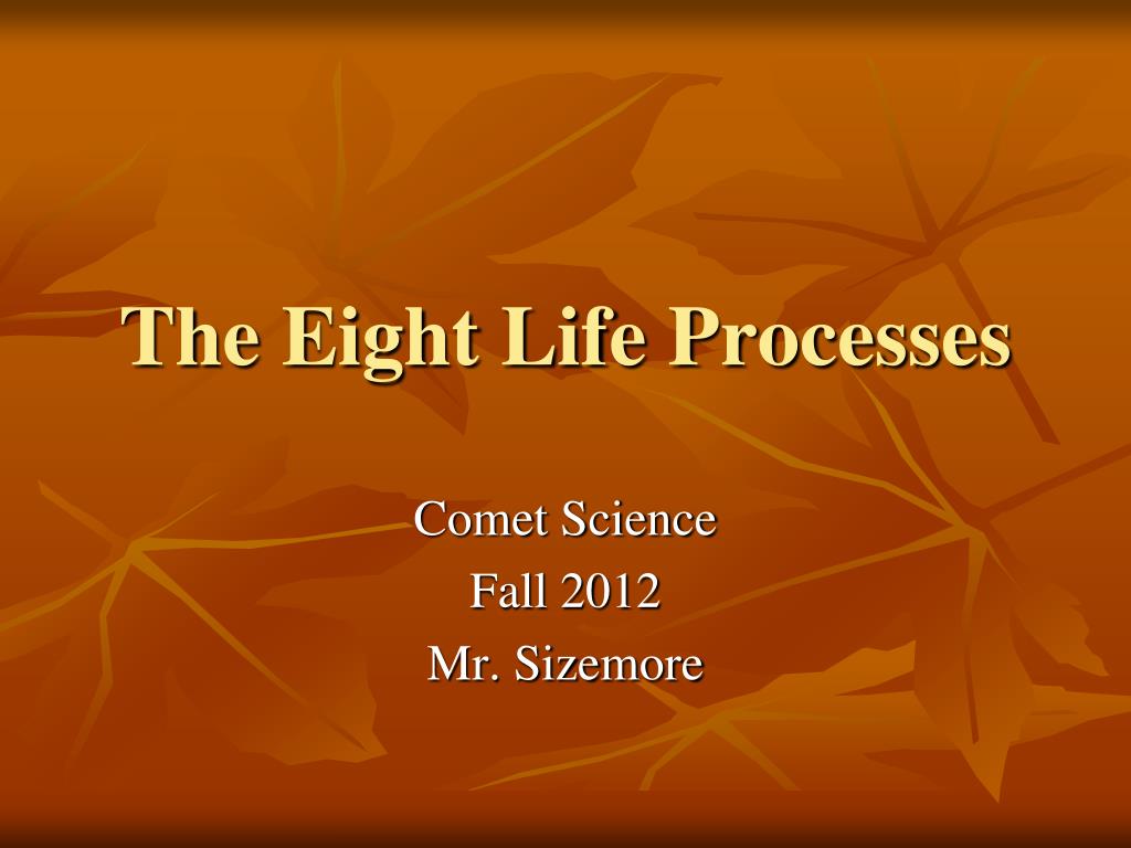 PPT - The Eight Life Processes PowerPoint Presentation, free download ...