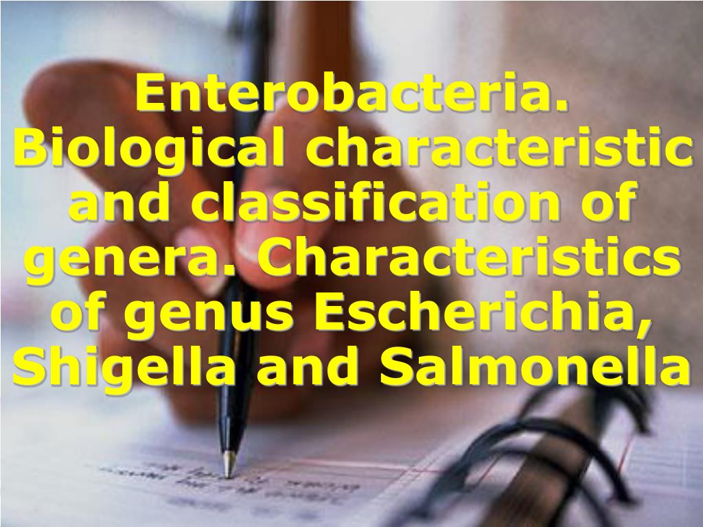 PPT - Family Enterobacteriaceae Genus PowerPoint Presentation, free ...