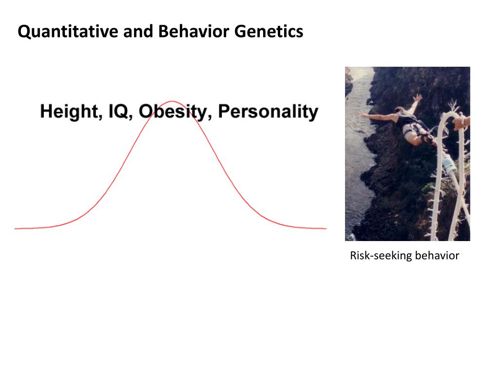 PPT - Quantitative and Behavior Genetics PowerPoint Presentation, free ...