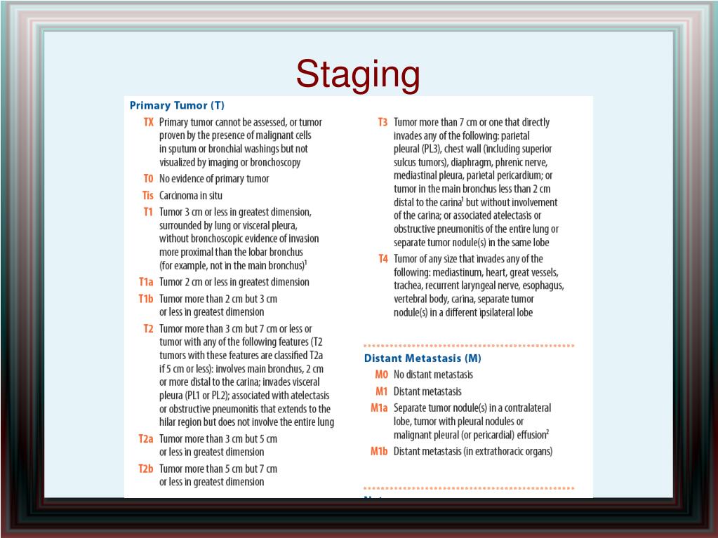PPT - Staging PowerPoint Presentation, free download - ID:3681316