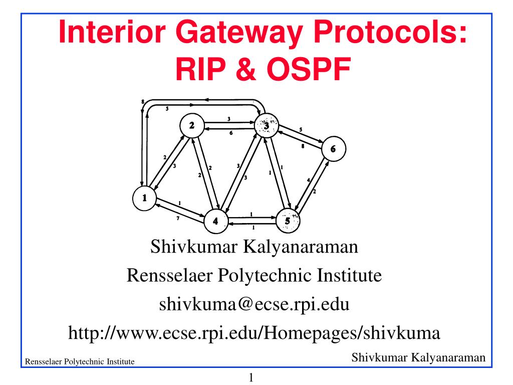 PPT - Interior Gateway Protocols: RIP & OSPF PowerPoint Presentation ...