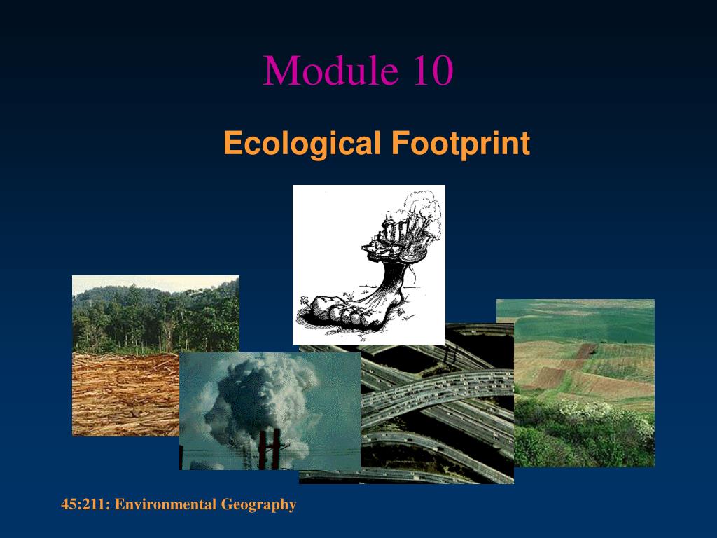 PPT - Module 10 PowerPoint Presentation, free download - ID:3684462