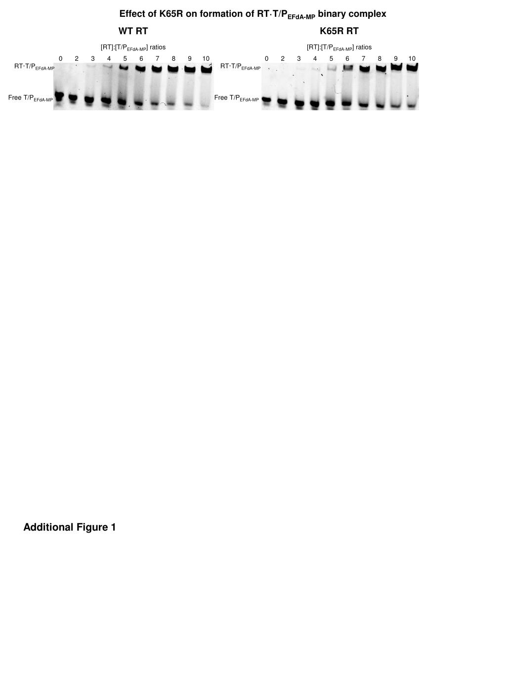 PPT - WT RT PowerPoint Presentation, free download - ID:3685117