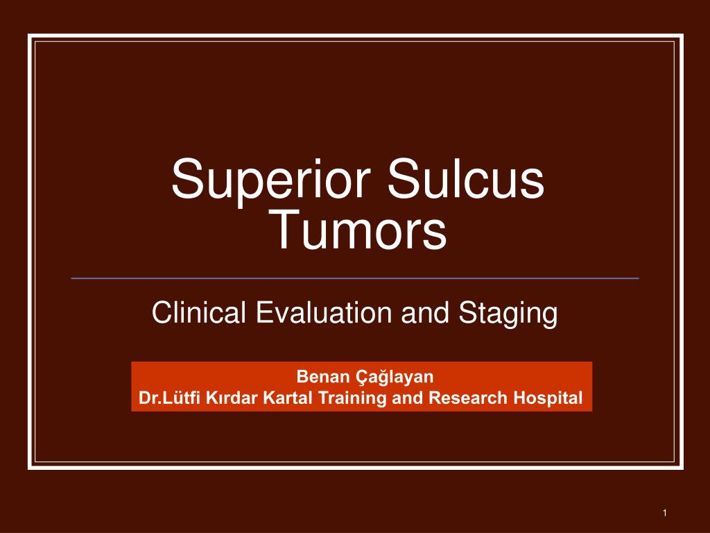 PPT - Superior Sulcus Tumors PowerPoint Presentation, free download ...