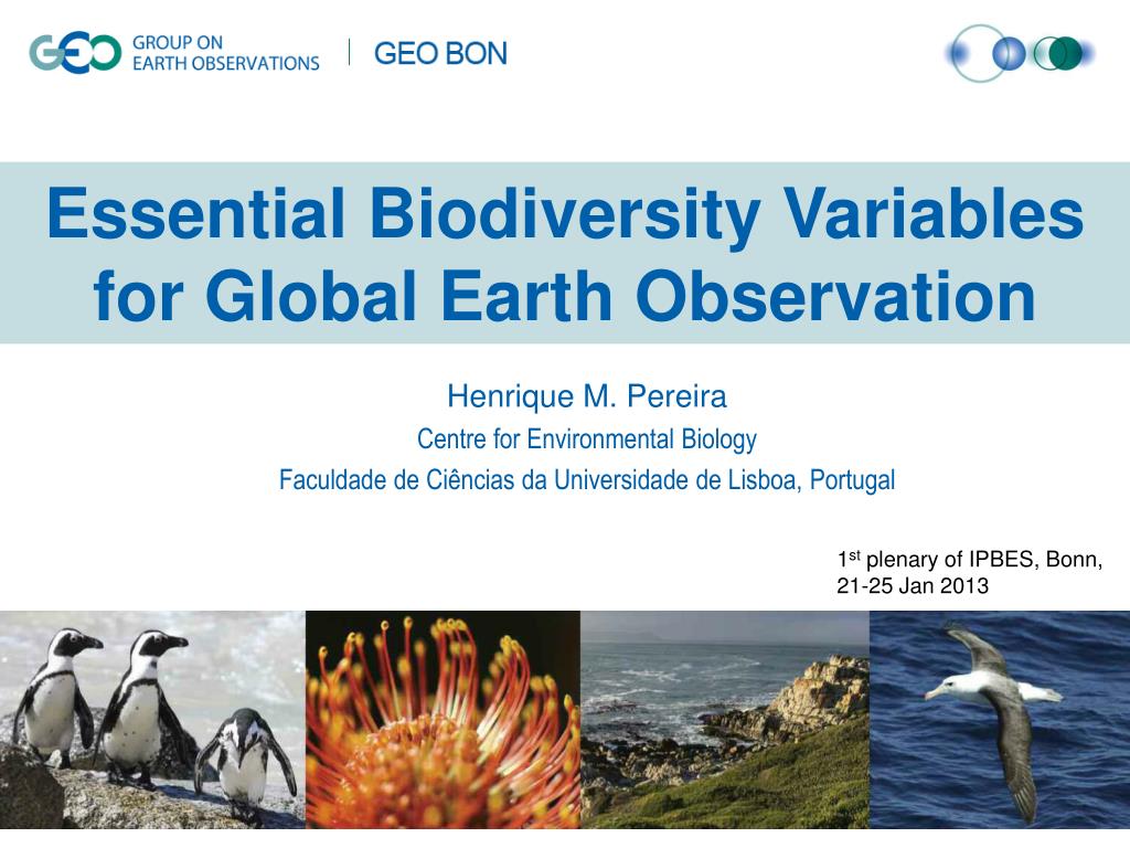 PPT - Essential Biodiversity Variables for Global Earth Observation PowerPoint Presentation - ID ...