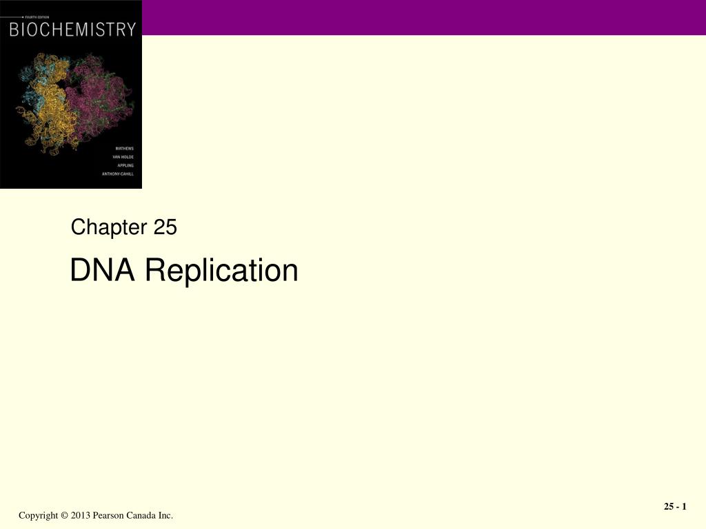 PPT - Chapter 25 PowerPoint Presentation, free download - ID:3693609