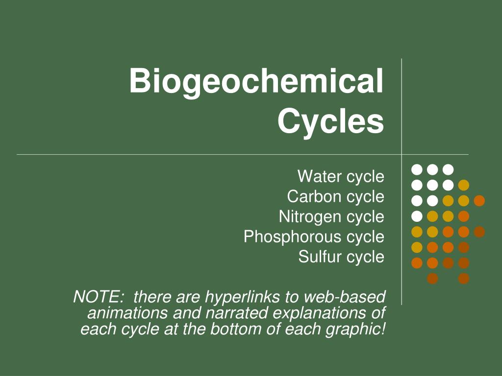 PPT - Biogeochemical Cycles PowerPoint Presentation, free download - ID ...