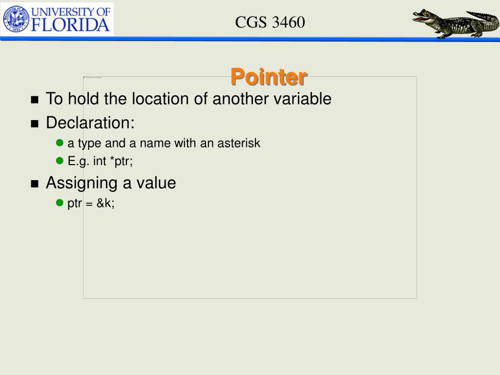 PPT - Pointer PowerPoint Presentation, free download - ID:3697032