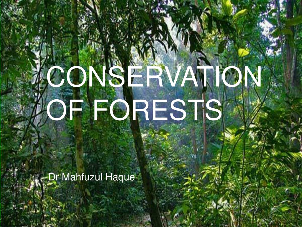 PPT - CONSERVATION OF FORESTS PowerPoint Presentation, free download ...