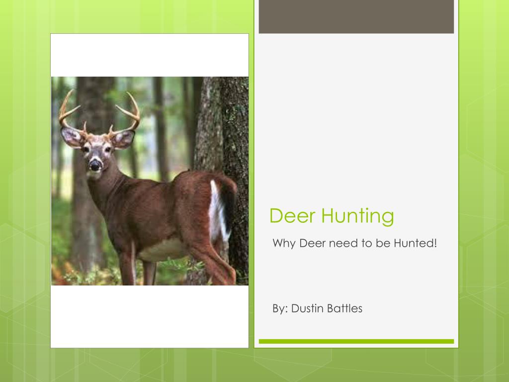 PPT - Deer Hunting PowerPoint Presentation, free download - ID:3701453
