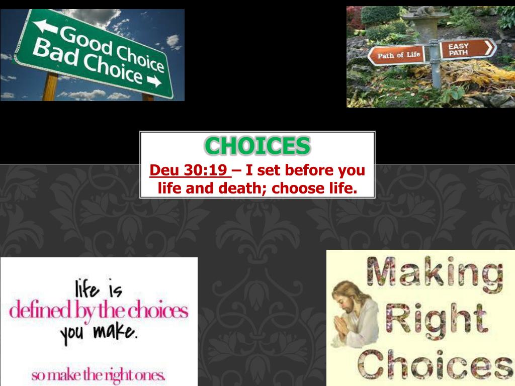 PPT - Choices PowerPoint Presentation, free download - ID:3703641