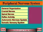 PPT - Peripheral Nervous System PowerPoint Presentation, free download ...