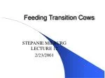 PPT - Feeding Lactating Dairy cows PowerPoint Presentation, free ...