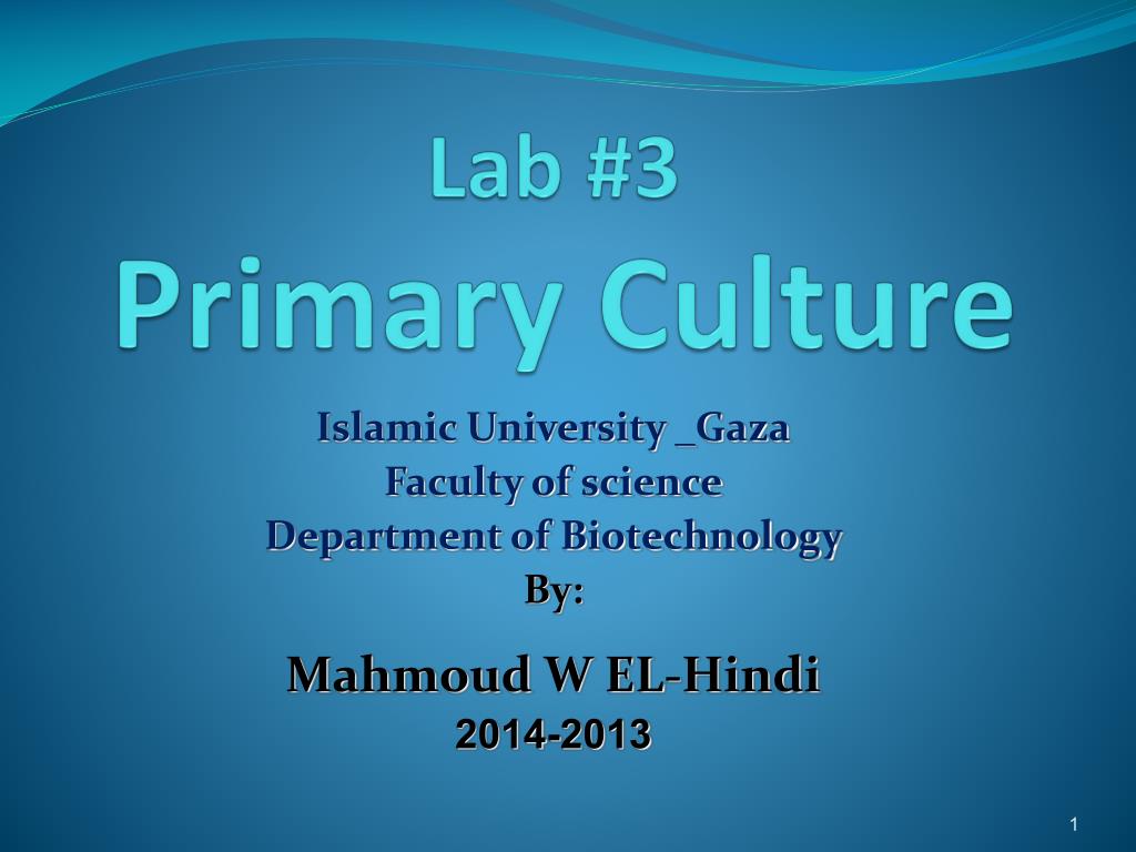 PPT - Lab #3 Primary Culture PowerPoint Presentation, free download ...