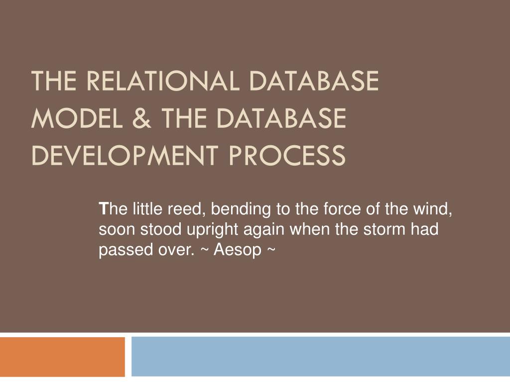 PPT - The Relational Database Model & The Database Development Process ...