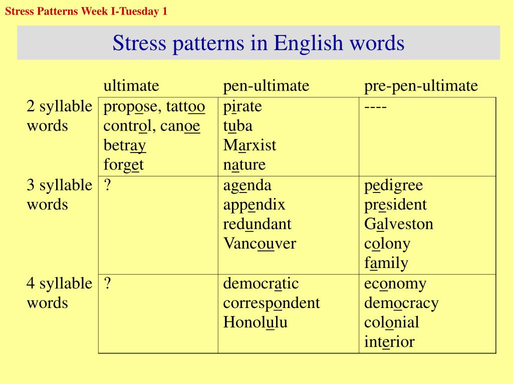 PPT - Stress patterns in English words PowerPoint Presentation, free ...