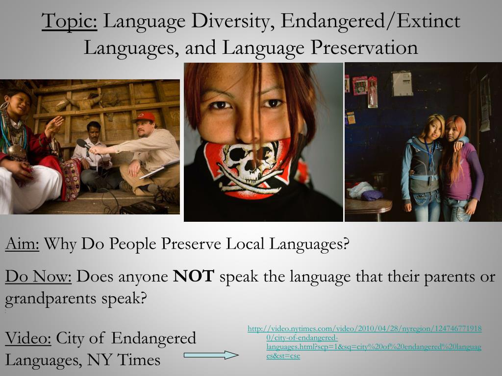 PPT - Topic: Language Diversity, Endangered/Extinct Languages, and ...