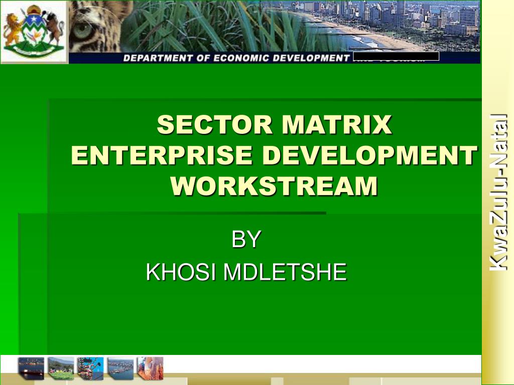 PPT - SECTOR MATRIX ENTERPRISE DEVELOPMENT WORKSTREAM PowerPoint ...