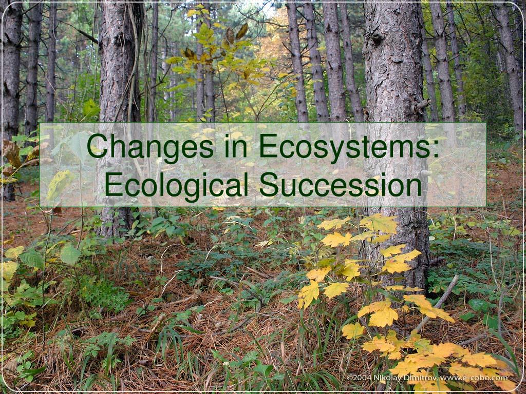 PPT - Changes in Ecosystems: Ecological Succession PowerPoint ...