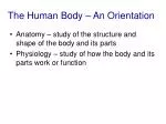 PPT - Chapter 1: Organization of the Human Body PowerPoint Presentation ...