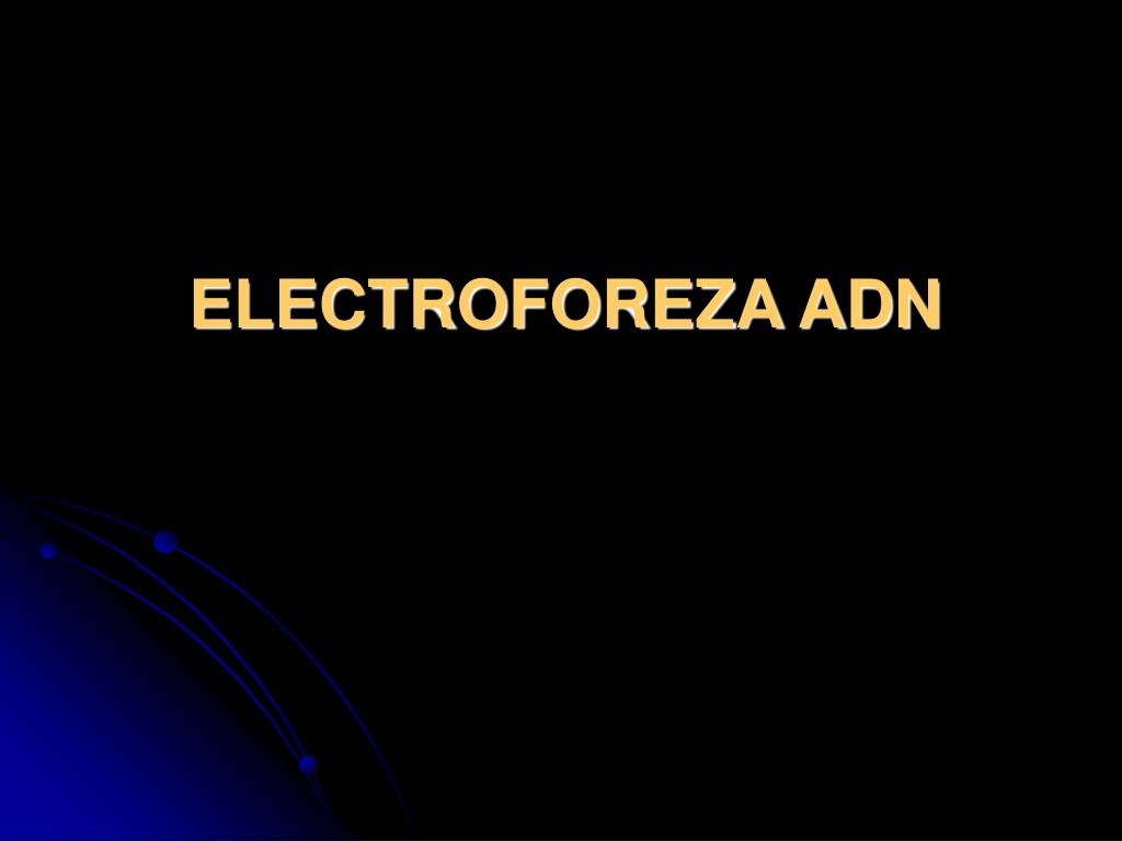 PPT - ELECTROFOREZA ADN PowerPoint Presentation, free download - ID:3725469