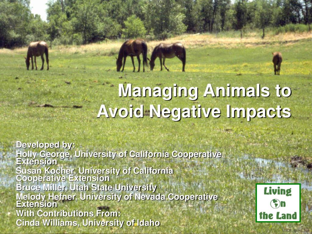 PPT - Managing Animals to Avoid Negative Impacts PowerPoint ...