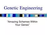 PPT - Genetic Engineering PowerPoint Presentation, free download - ID ...