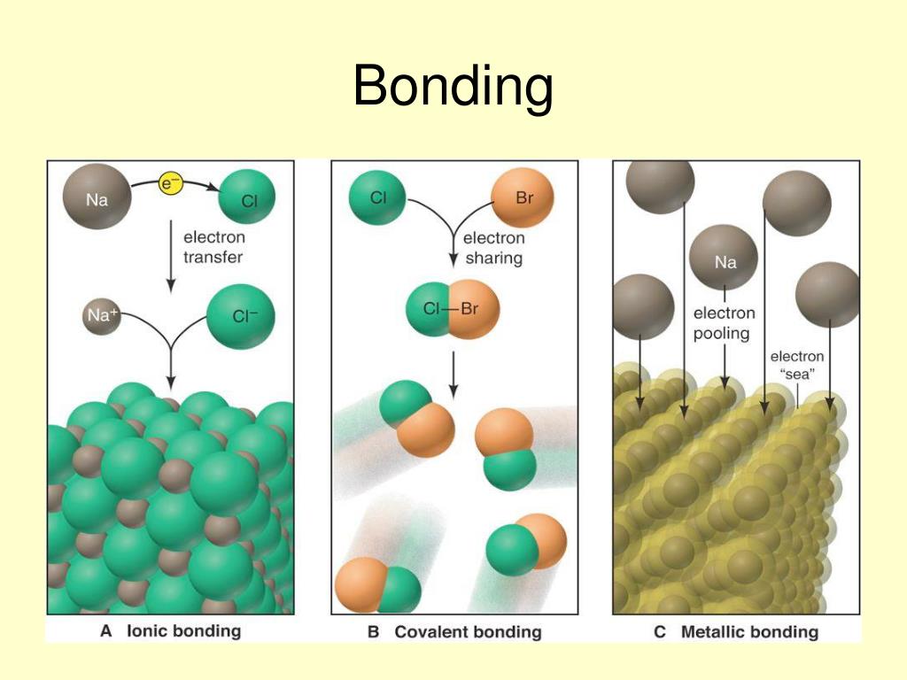 PPT - Bonding PowerPoint Presentation, free download - ID:3728166