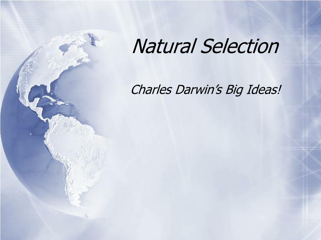 PPT - Natural Selection PowerPoint Presentation, free download - ID:3730296